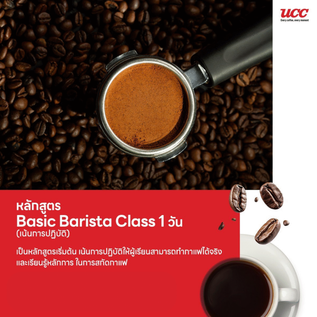 Courses - ucc